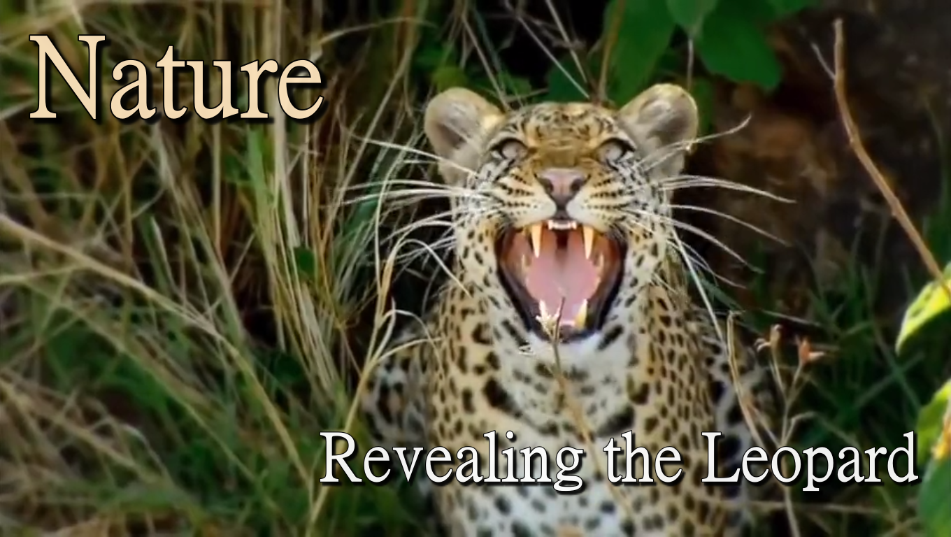 Animals - 4biddenknowledge.tv