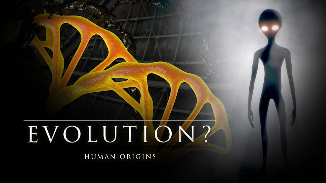 Human Evolution | The Anunnaki Intervention - 5th Kind Originals ...