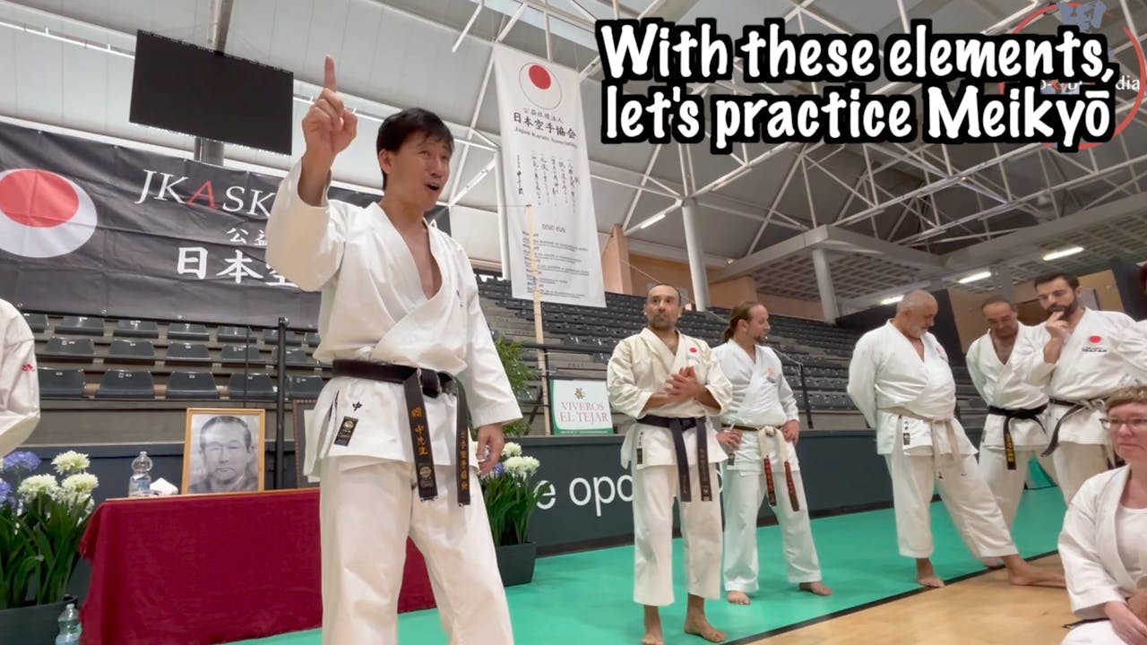 4Key Elements of Budo Body Mechanics - Newly Arrived Videos! - Kuro-Obi ...