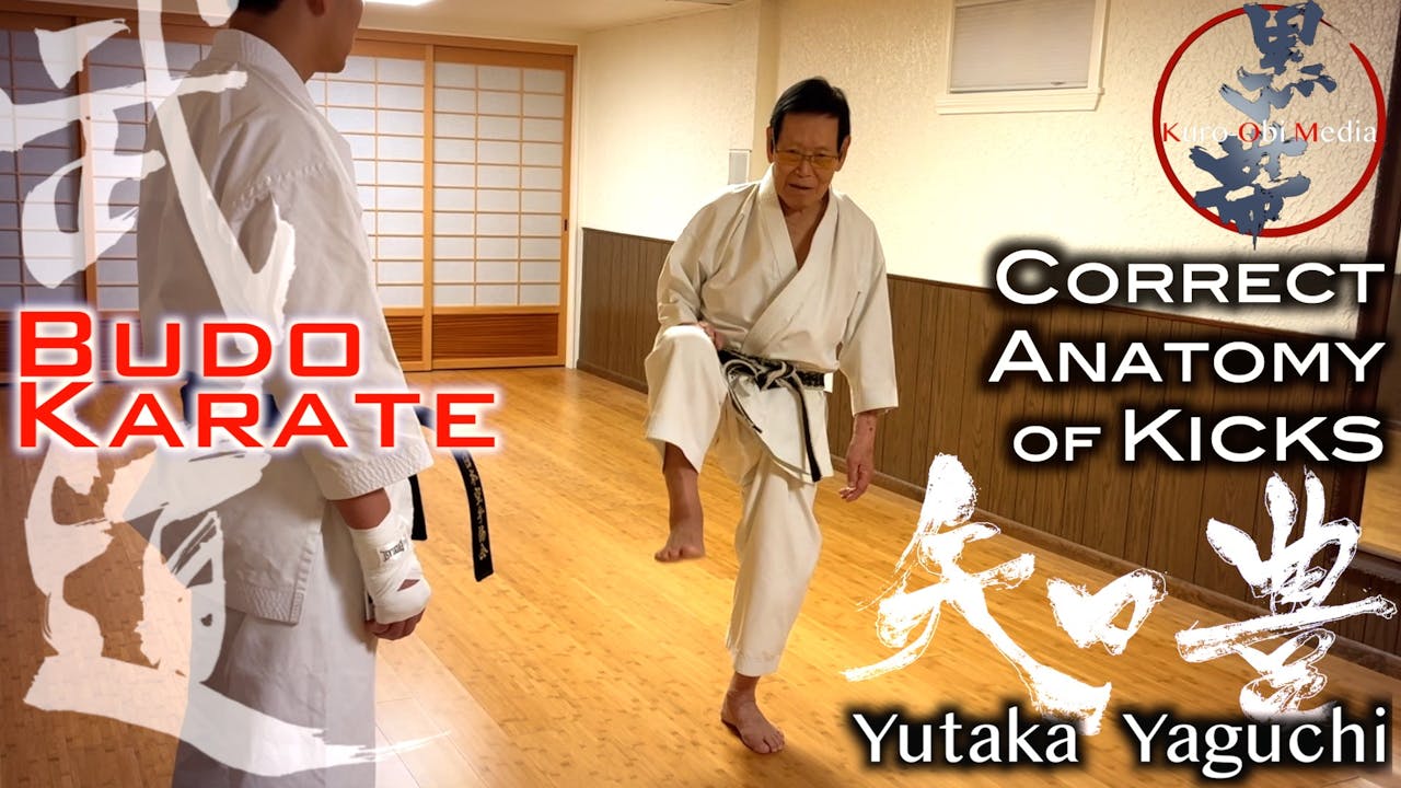 Master Yutaka Yaguchi: Correct Anatomy of Kicks - Newly Arrived Videos! - Kuro-Obi World