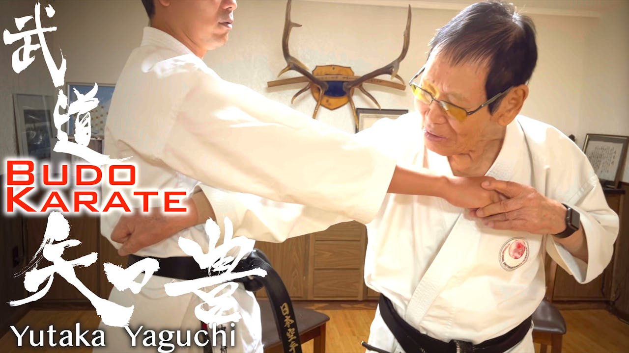 EP1: "Body Vibration" by the Legend - Budo Karate by Master Yutaka Yaguchi - Kuro-Obi World