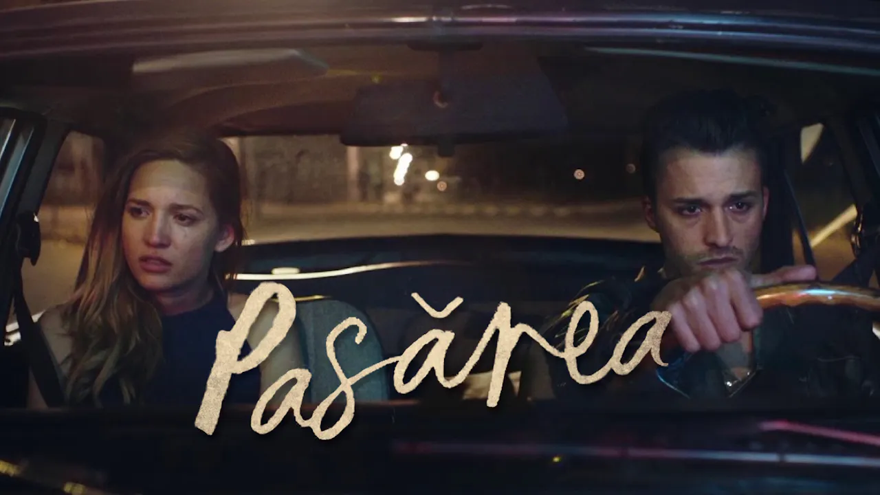 Pasarea - Pasarea - GOOD.