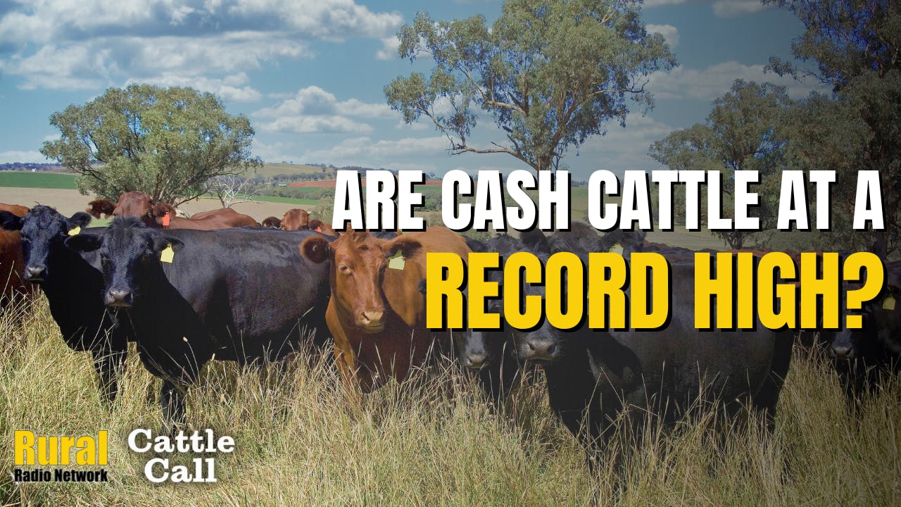 Algorithms and the Beef Trade | Cattle Call - Cattle Call - AcresTV