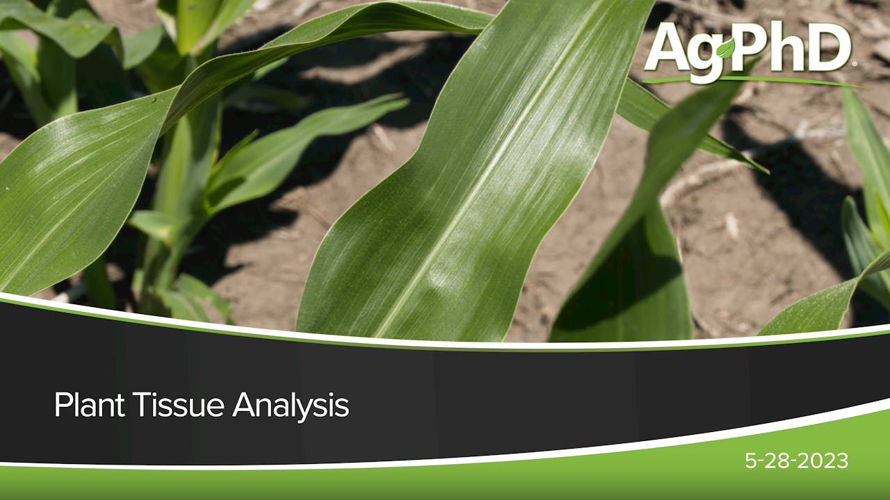 Plant Tissue Analysis | Ag PhD - 2023 - AcresTV