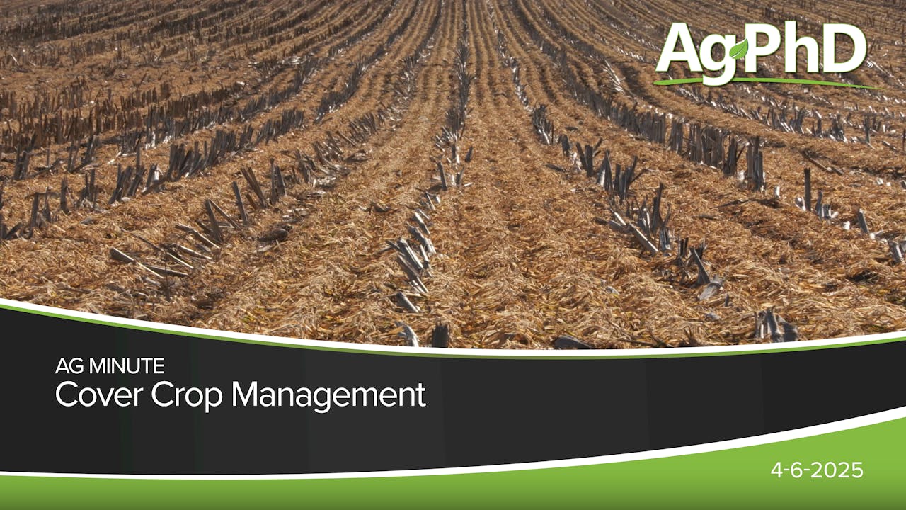 Cover Crop Management | Ag PhD - 2025 - AcresTV