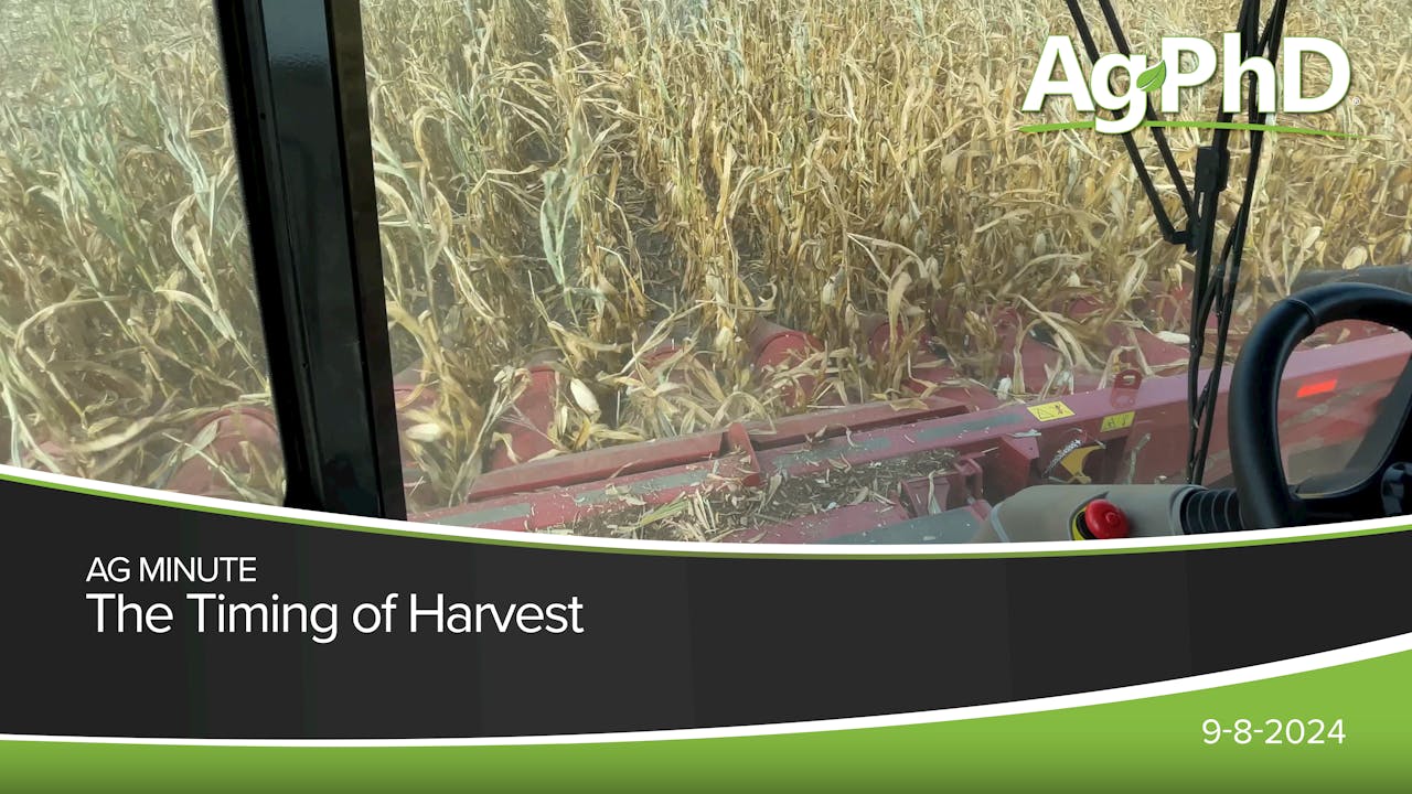 The Timing of Harvest | Ag PhD - 2024 - AcresTV