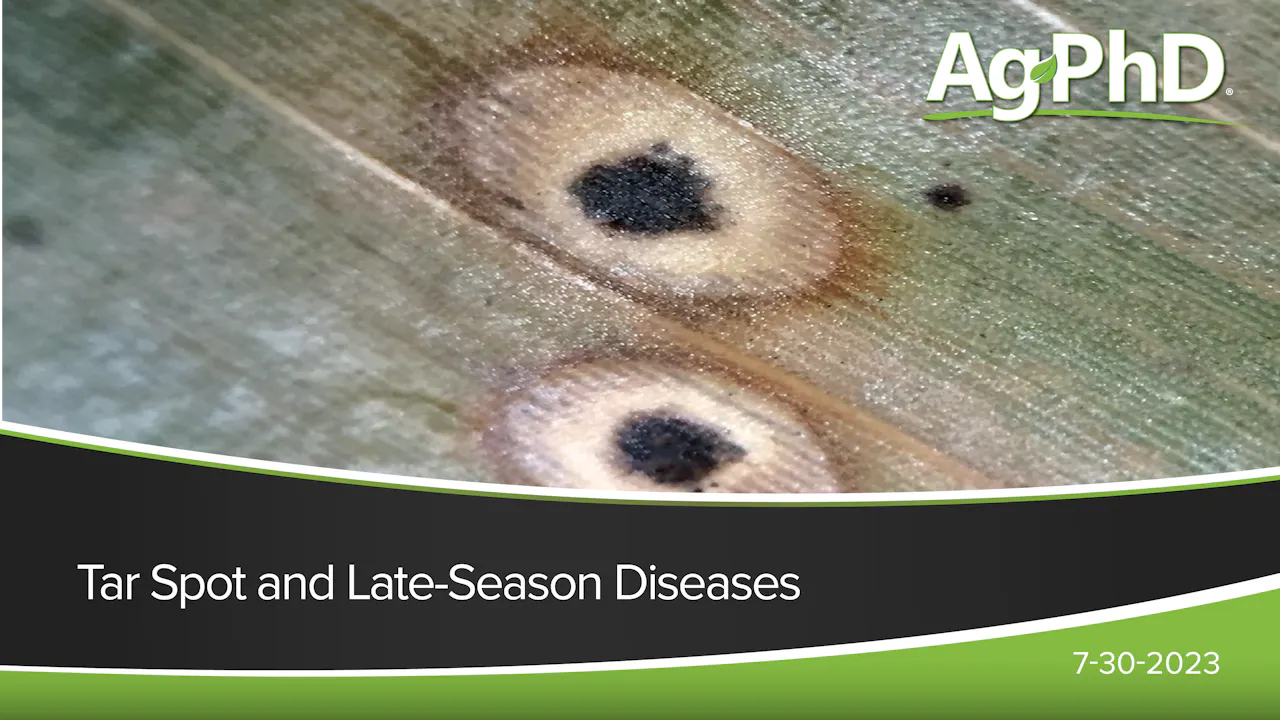 Tar Spot and Late-Season Diseases | Ag PhD - 2023 - AcresTV