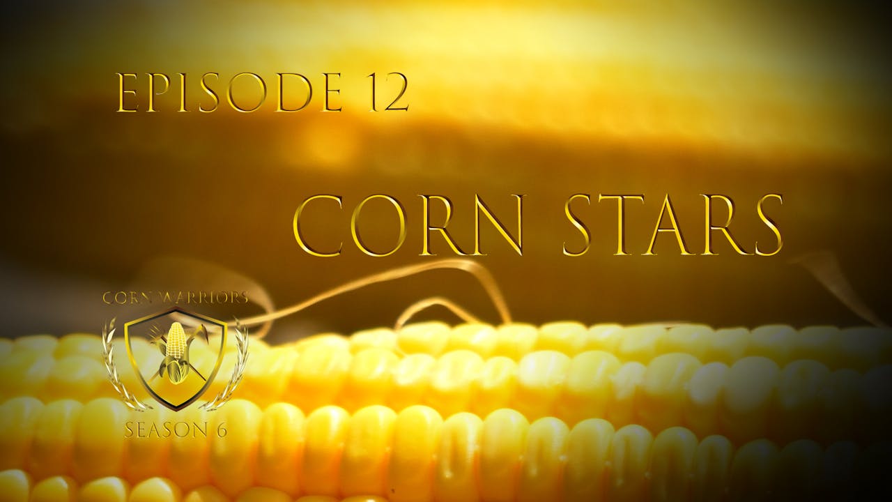Corn Warriors | 612 | Corn Stars - Season 6 - AcresTV