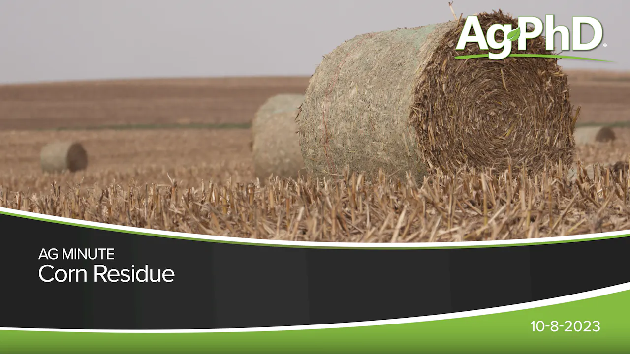 Corn Residue | Ag PhD - 2023 - AcresTV