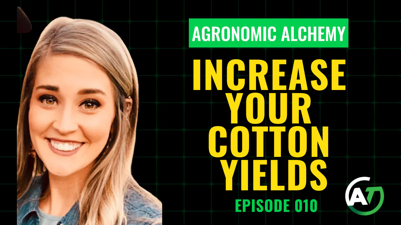 How To INCREASE Your Cotton Production (Breaking the Yield Wall ...