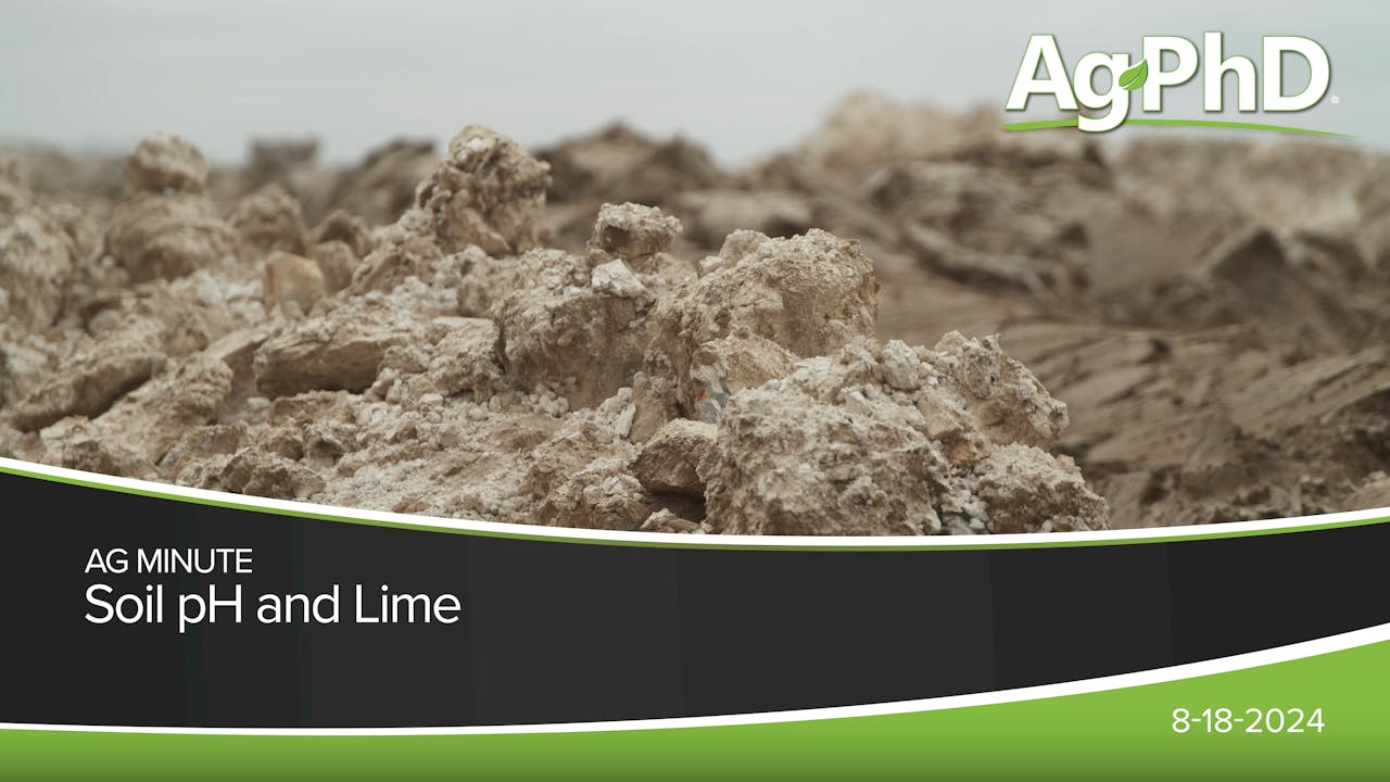 Soil pH and Lime | Ag PhD - 2024 - AcresTV