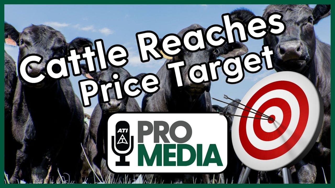 Cattle Reaches Price Target | ATI ProMedia 11/20/2024 - Finance - AcresTV