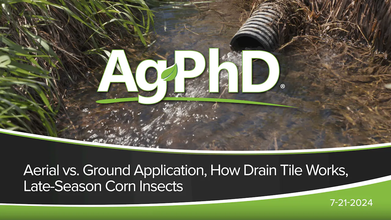 Aerial vs Ground Application, How Drain Tile Works, Late-Season Corn ...