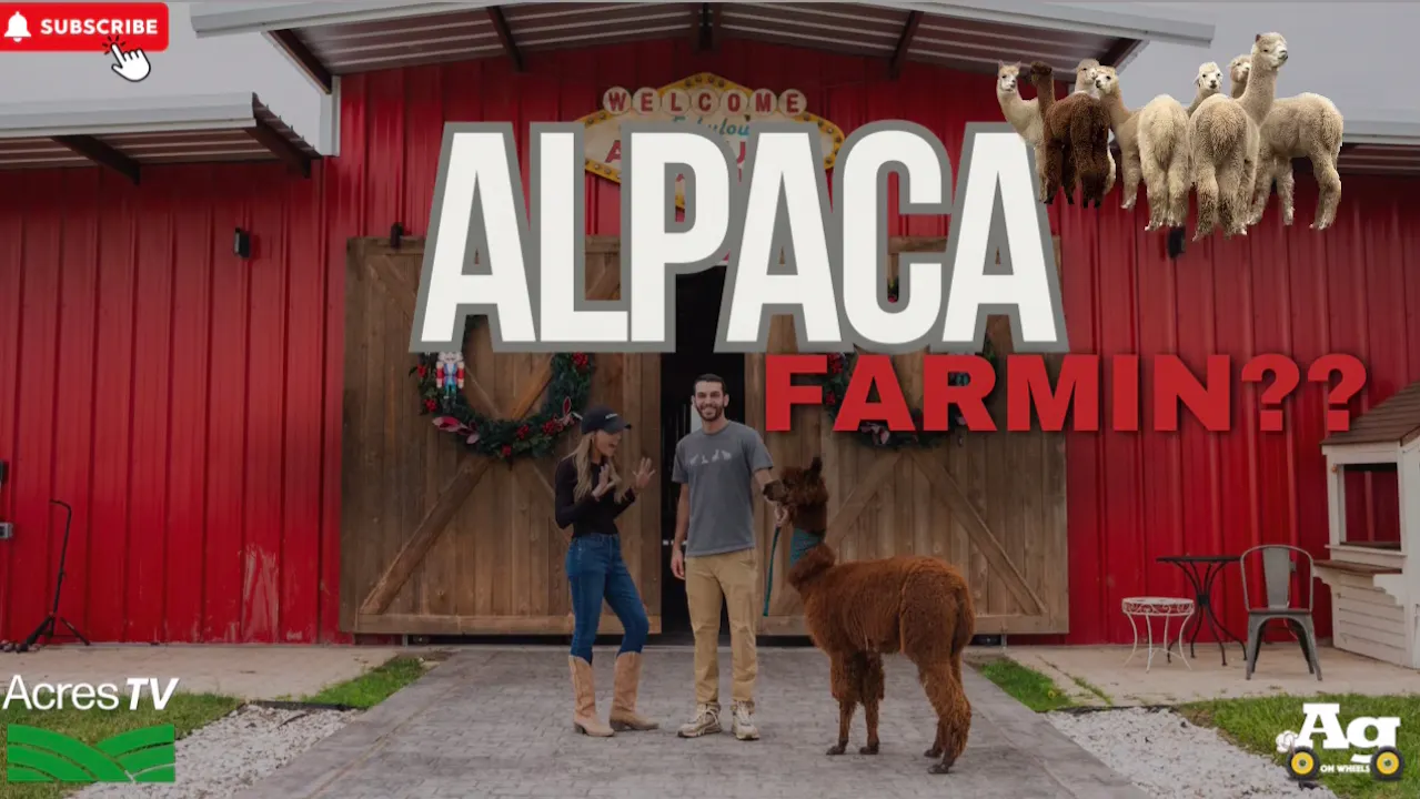 Ag on Wheels | Alpaca Farmin Down South - Alpaquita Ranch - Ag ...