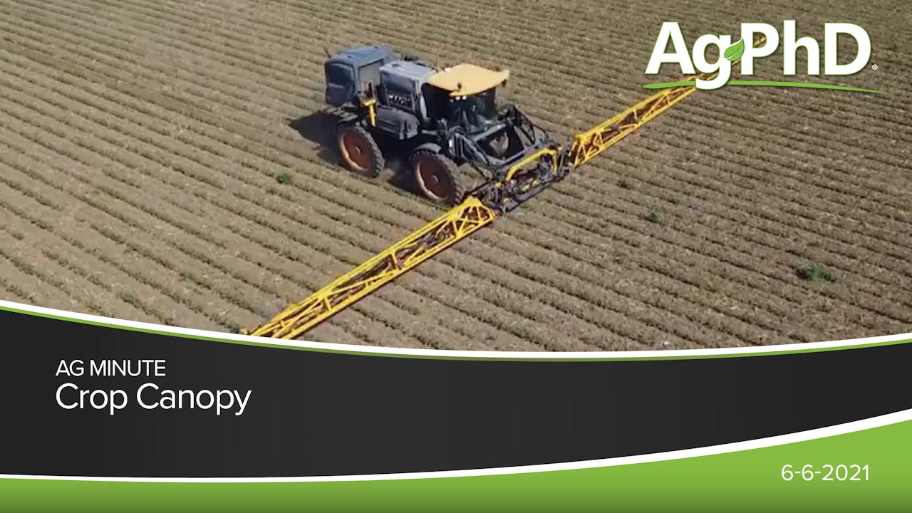 Crop Canopy | Ag PhD - 2021 - AcresTV