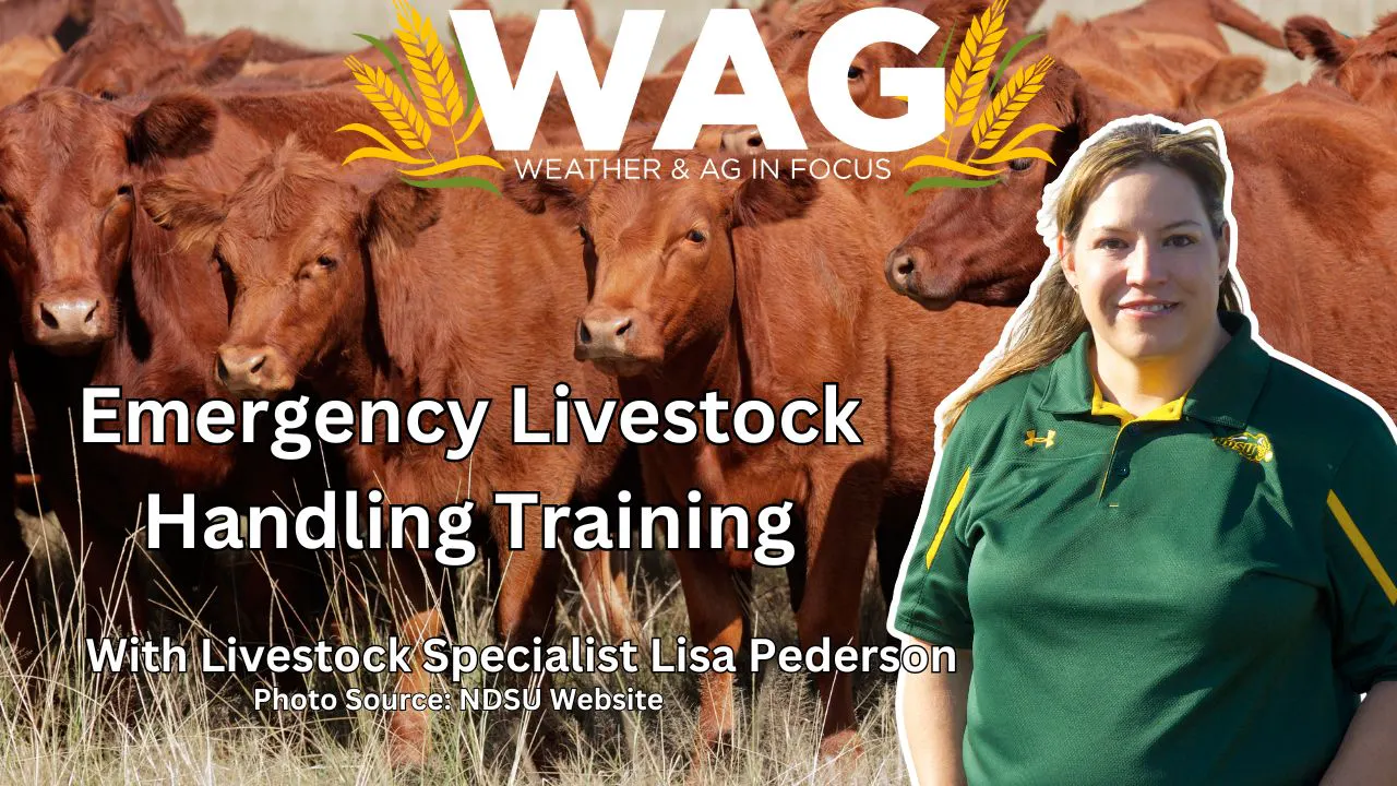 Emergency Livestock Handling Training | WAG in Focus 12/29/23 - AcresTV