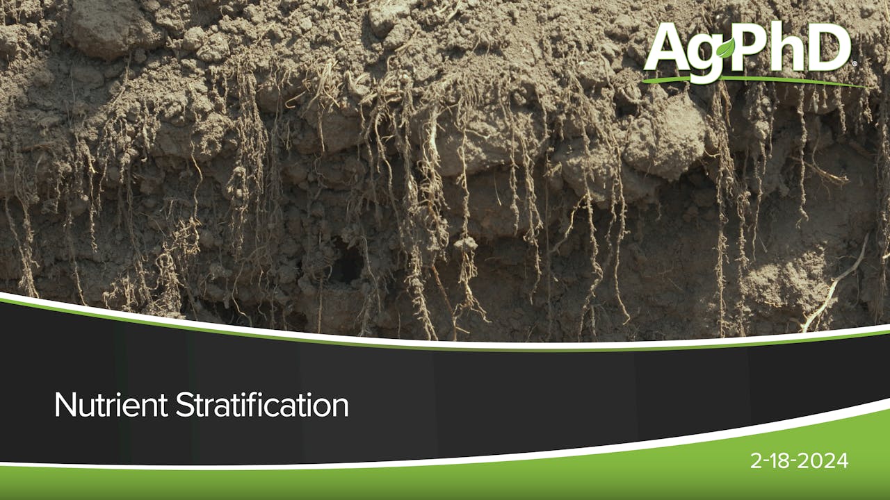 Nutrient Stratification | Ag PhD - 2024 - AcresTV