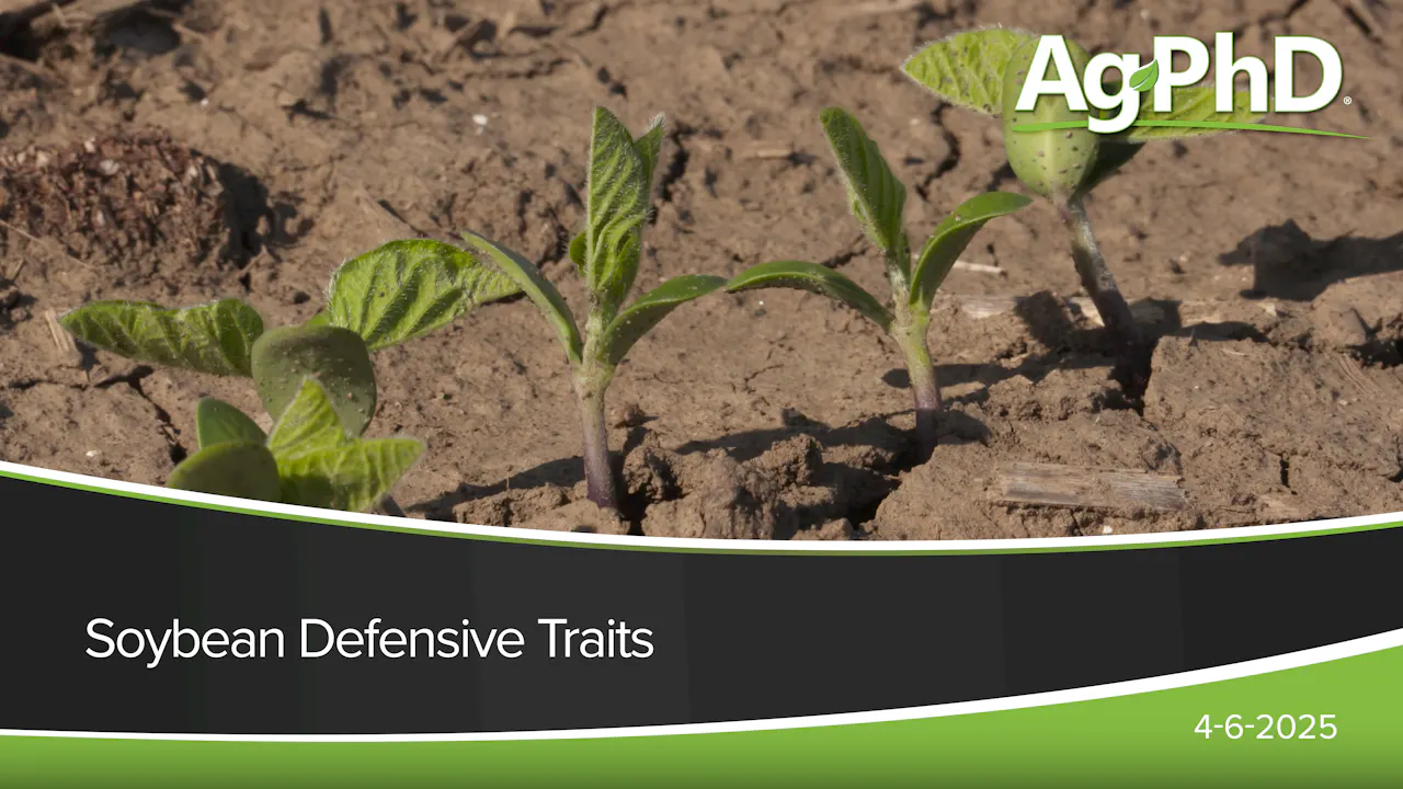 Soybean Defensive Traits | Ag PhD - 2025 - AcresTV