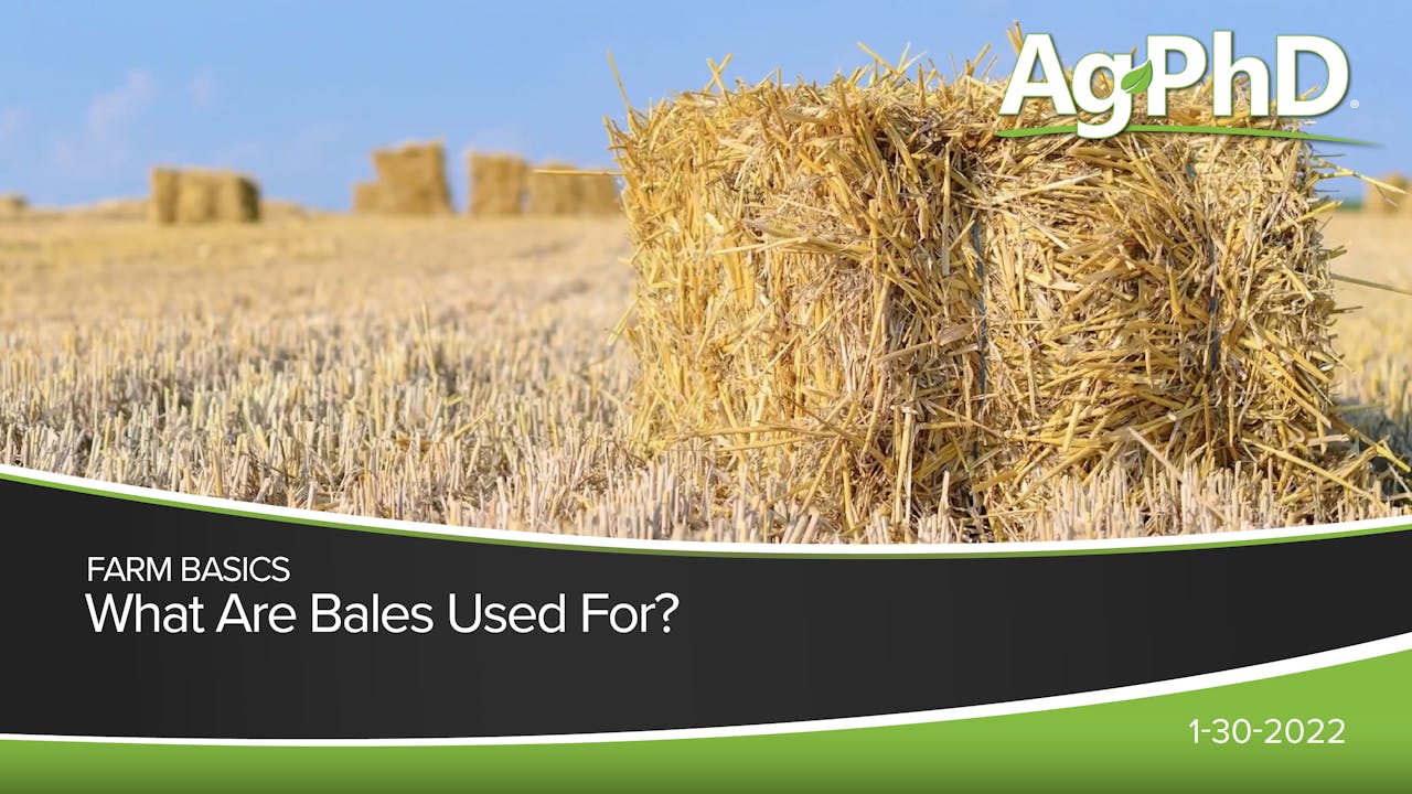 What Are Bales Used For? - 2022 - AcresTV