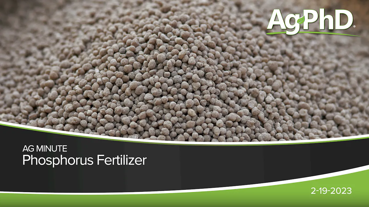 Phosphorus Fertilizer | Ag PhD - 2023 - AcresTV