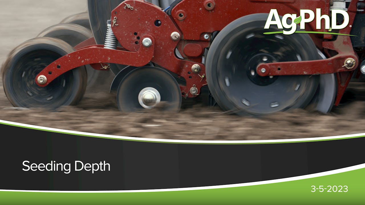 Seeding Depth | Ag PhD - 2023 - AcresTV