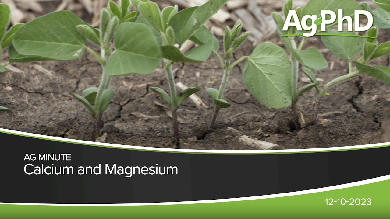 Calcium and Magnesium | Ag PhD - 2023 - AcresTV