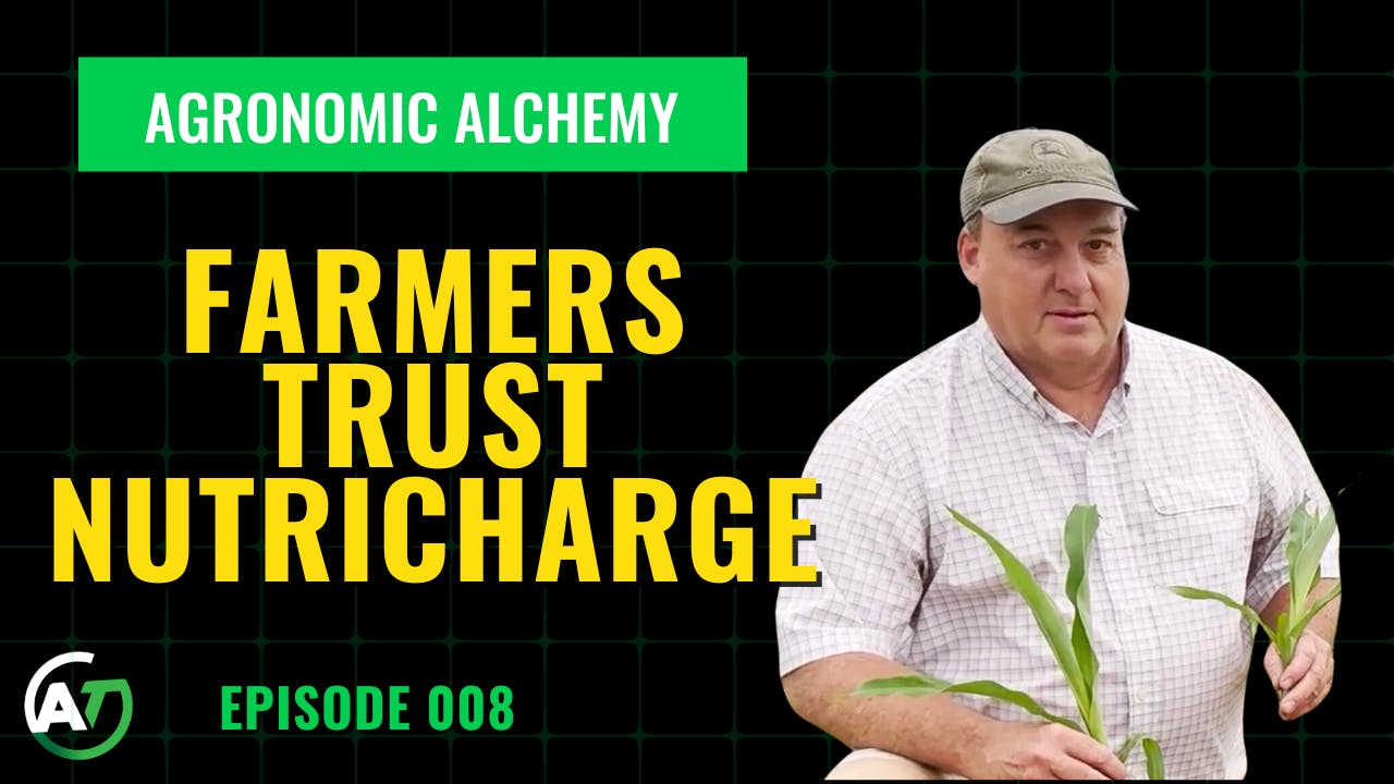 Dramatic Crop Improvements: Fertilizer Success at JCK Farms | AgroTech ...