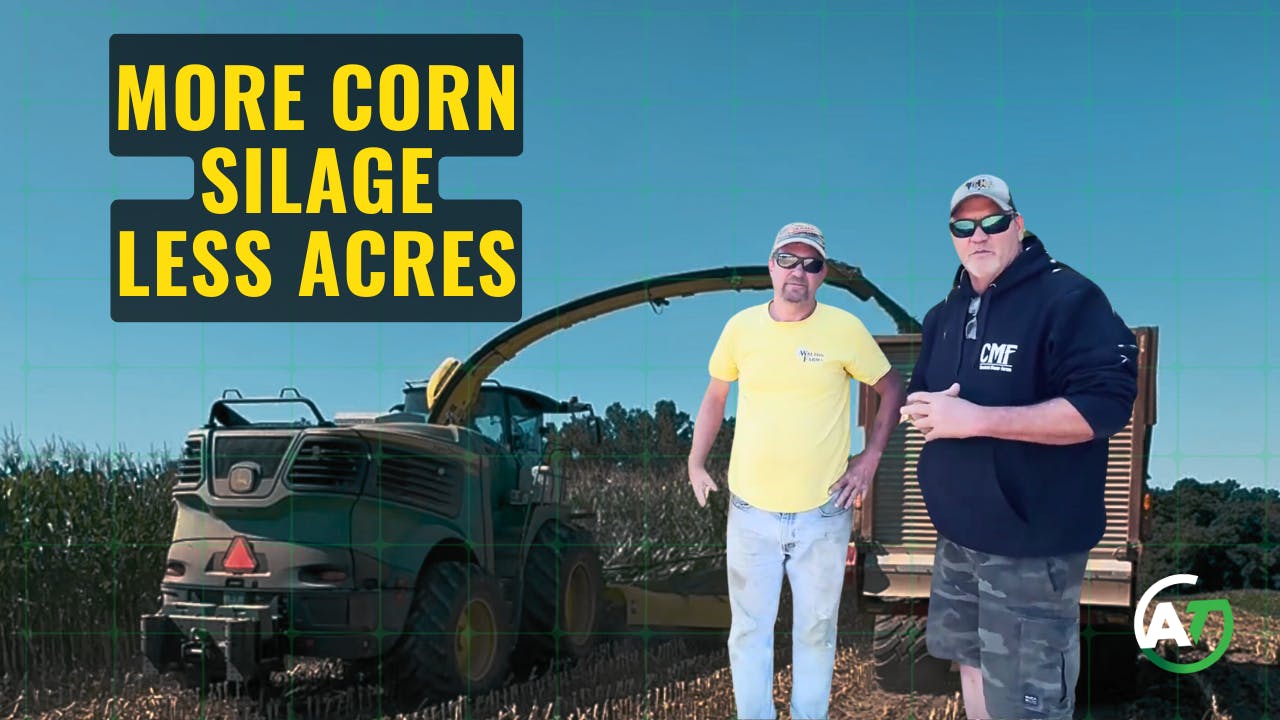 Sustainable vs Traditional Methods for Corn Silage | AgroTech USA ...