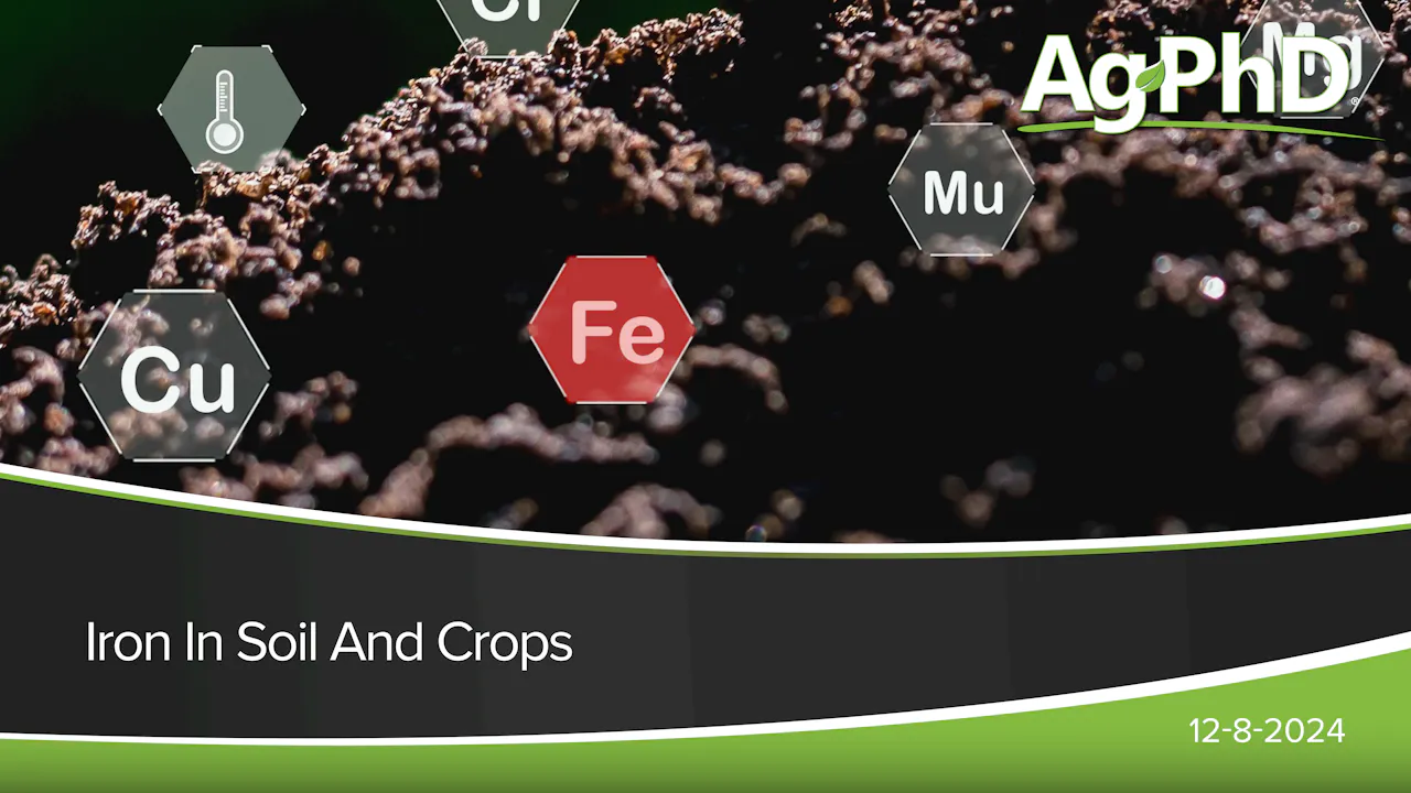 Iron In Soil And Crops | Ag PhD - 2024 - AcresTV