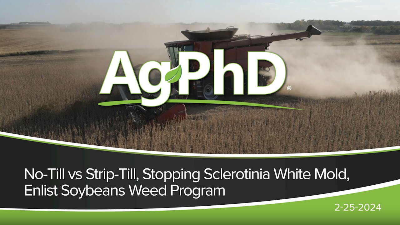 No-Till vs Strip-Till, Sclerotinia White Mold, Enlist Soybeans Program | Ag PhD - 2024 - AcresTV