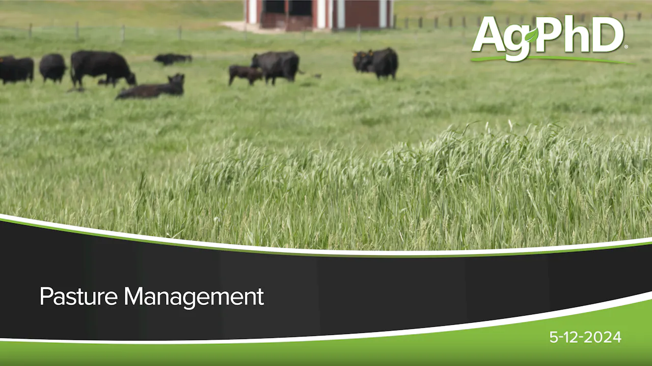 Pasture Management | Ag PhD - Animal Health & Nutrition - AcresTV