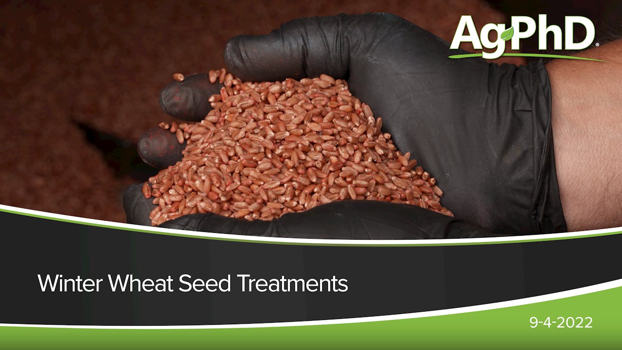 Winter Wheat Seed Treatments | Ag PhD - 2022 - AcresTV