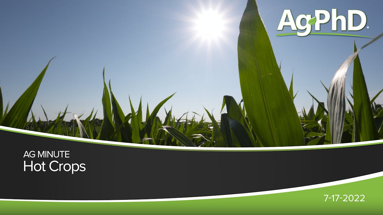 Hot Crops | Ag PhD - 2022 - AcresTV