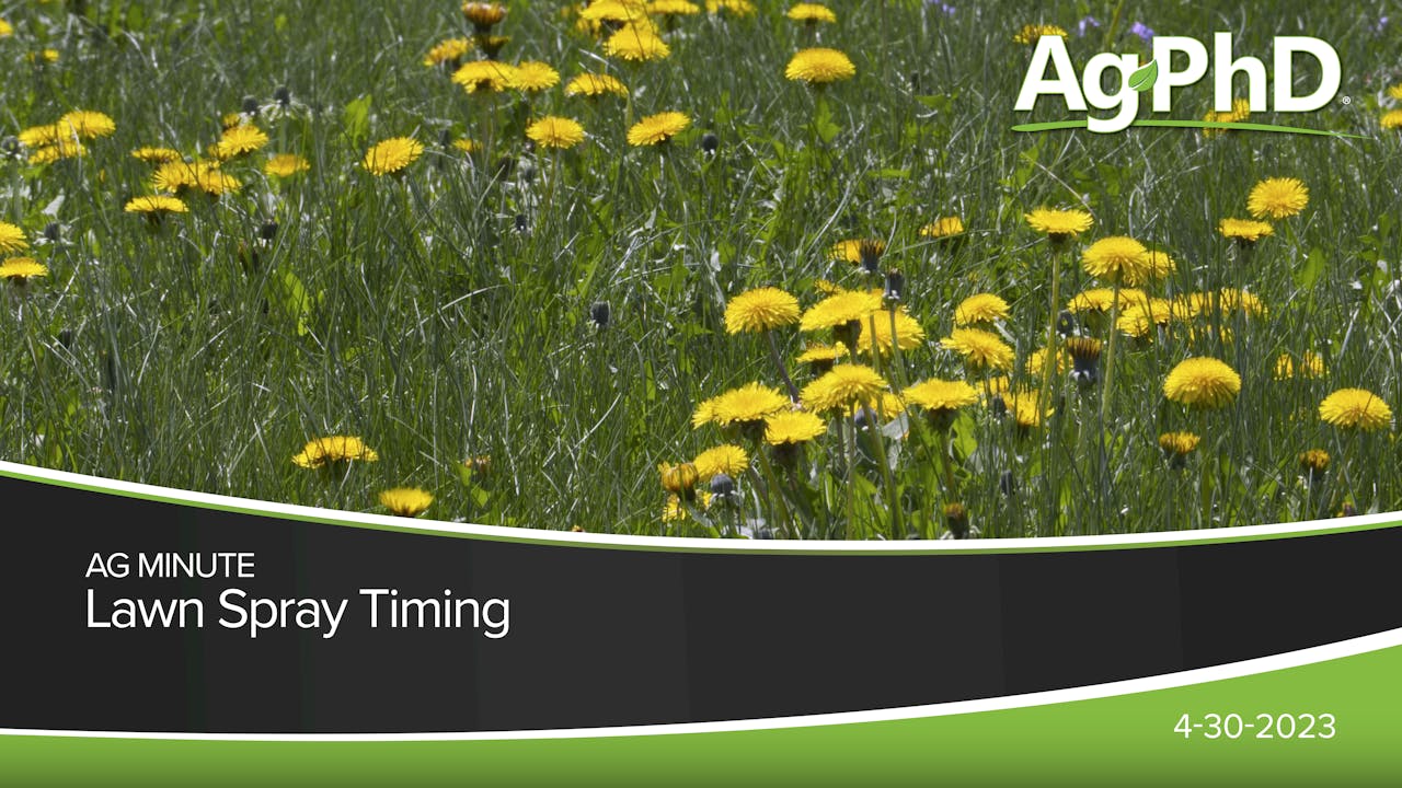 Lawn Spray Timing | Ag PhD - 2023 - AcresTV