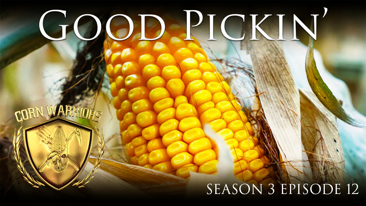 Corn Warriors | 312 | Good Pickin' - Season 3 - AcresTV