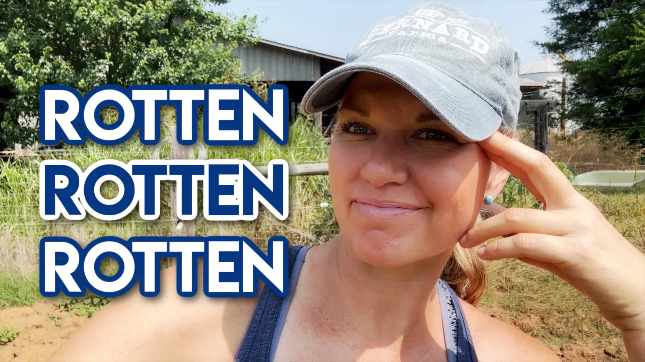 Rotten Barley, Dead Truck, Sick Horse || This Farm Wife - Ag ...
