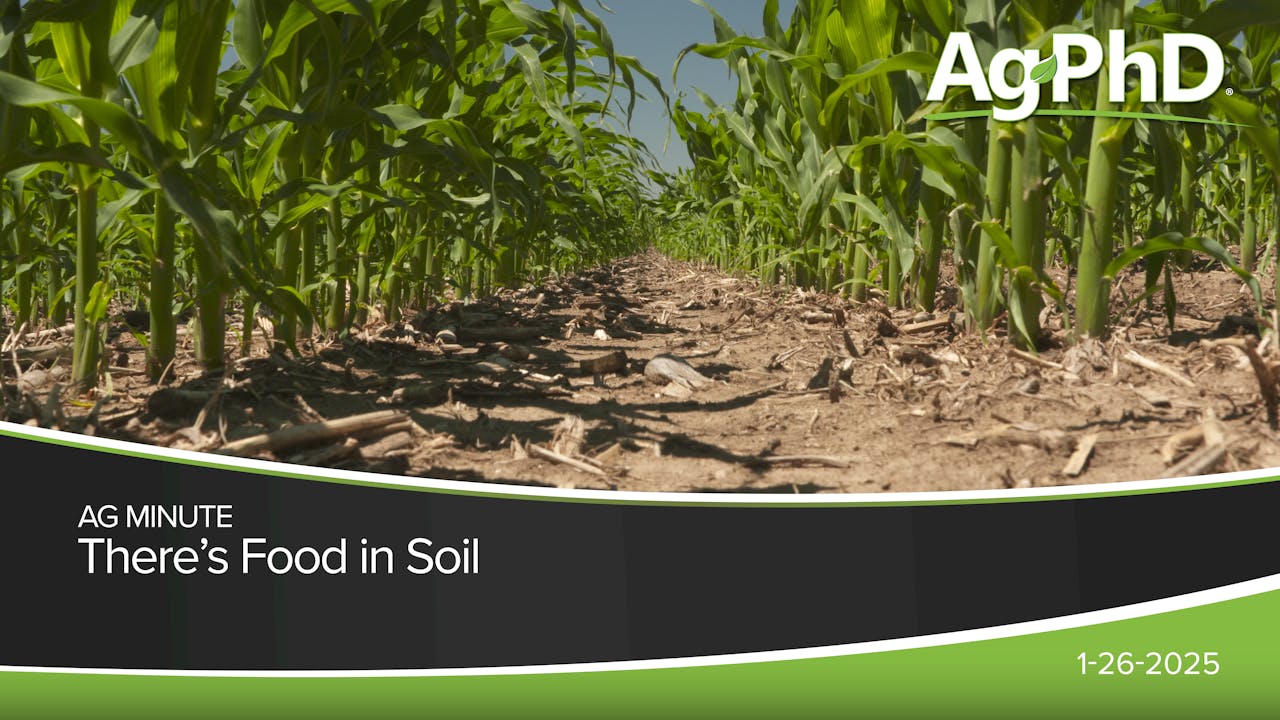 There's Food in Soil | Ag PhD - 2025 - AcresTV