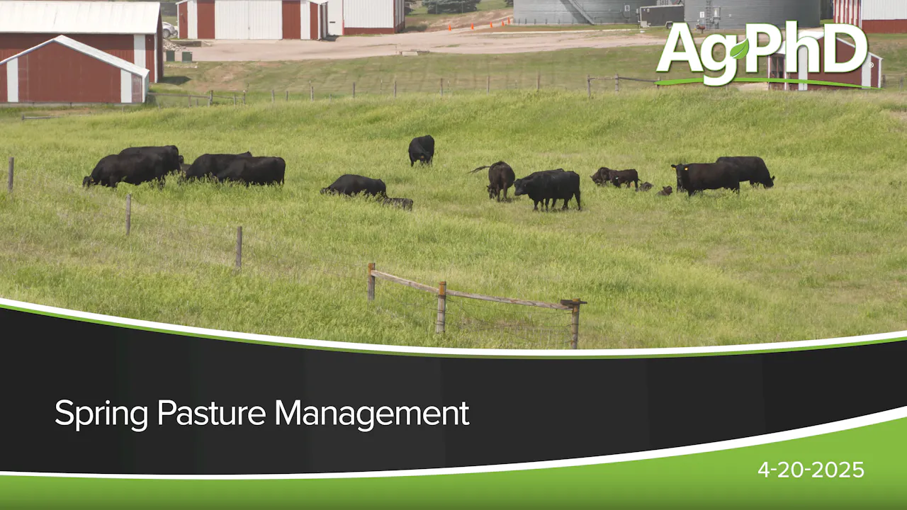 Spring Pasture Management | Ag PhD - 2025 - AcresTV