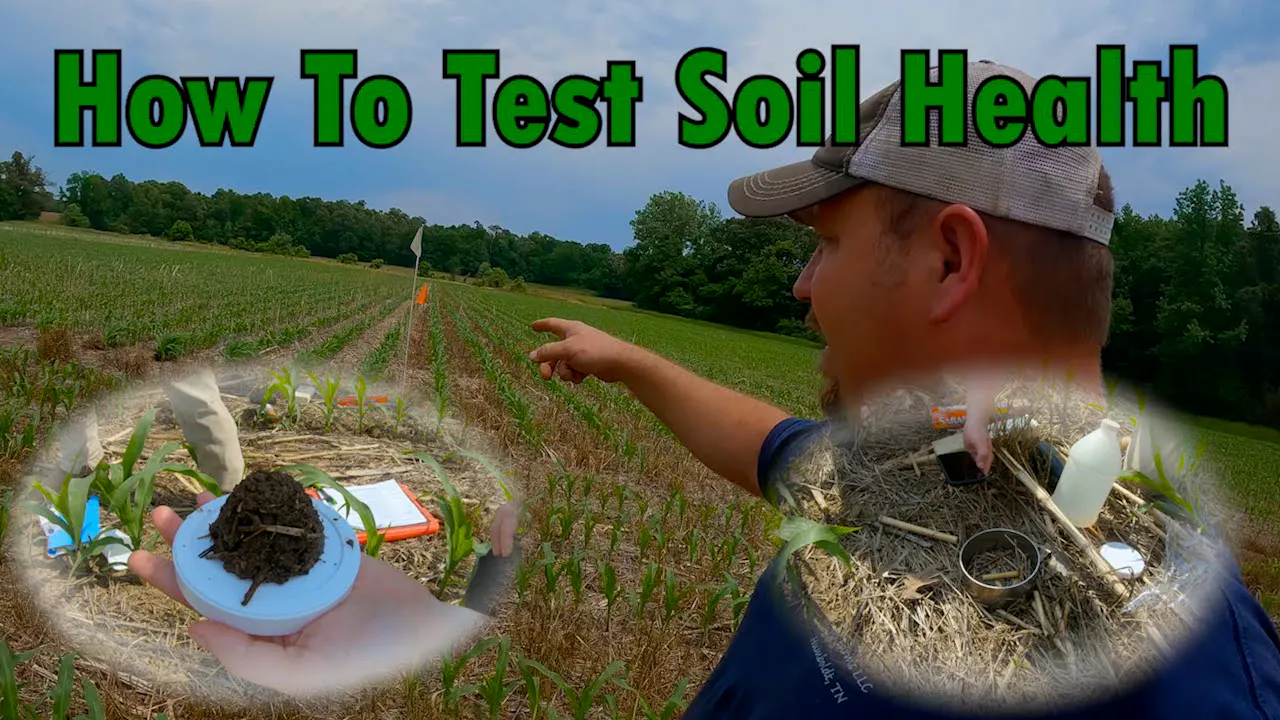 How To Test Soil Health | Griggs Farms - Agronomy - AcresTV