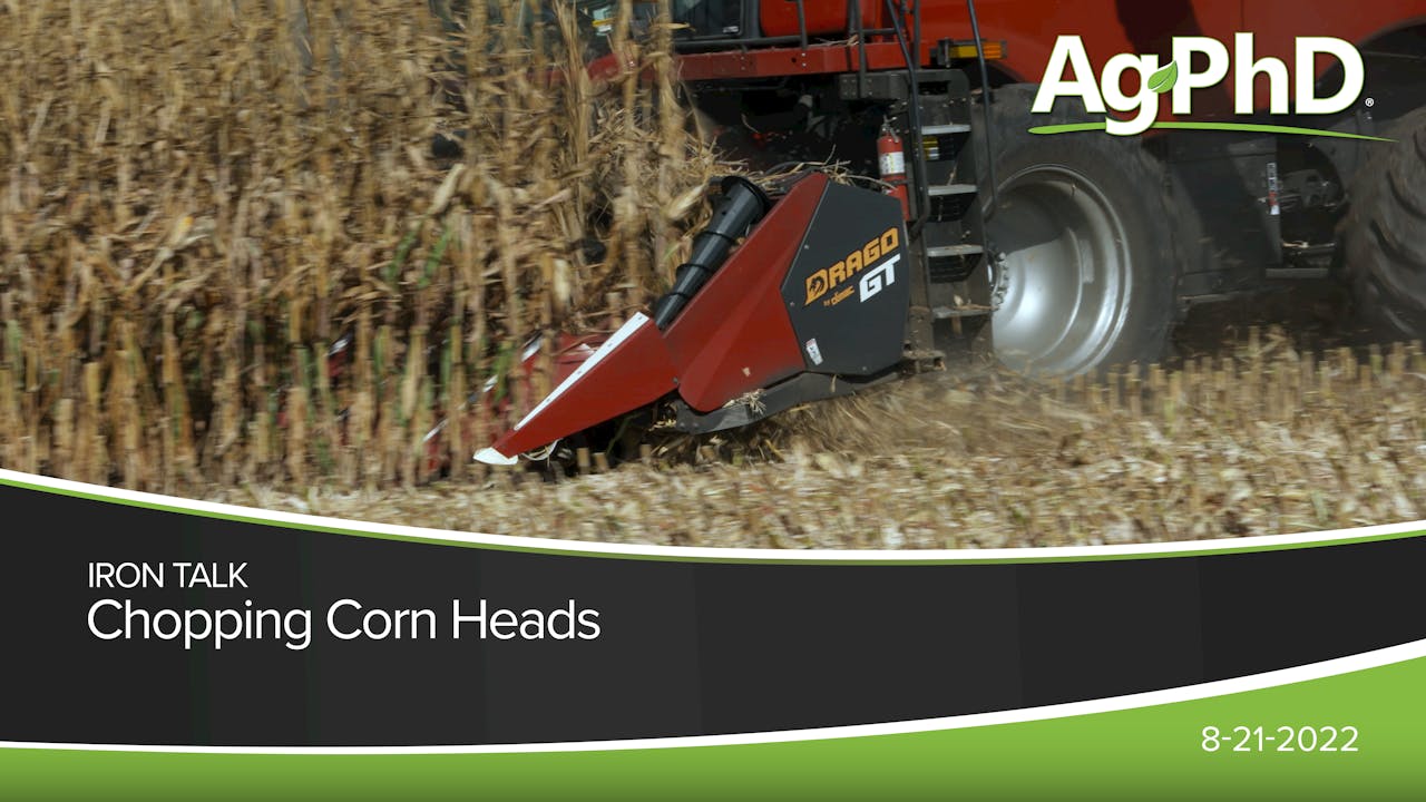 Chopping Corn Heads | Ag PhD - 2022 - AcresTV