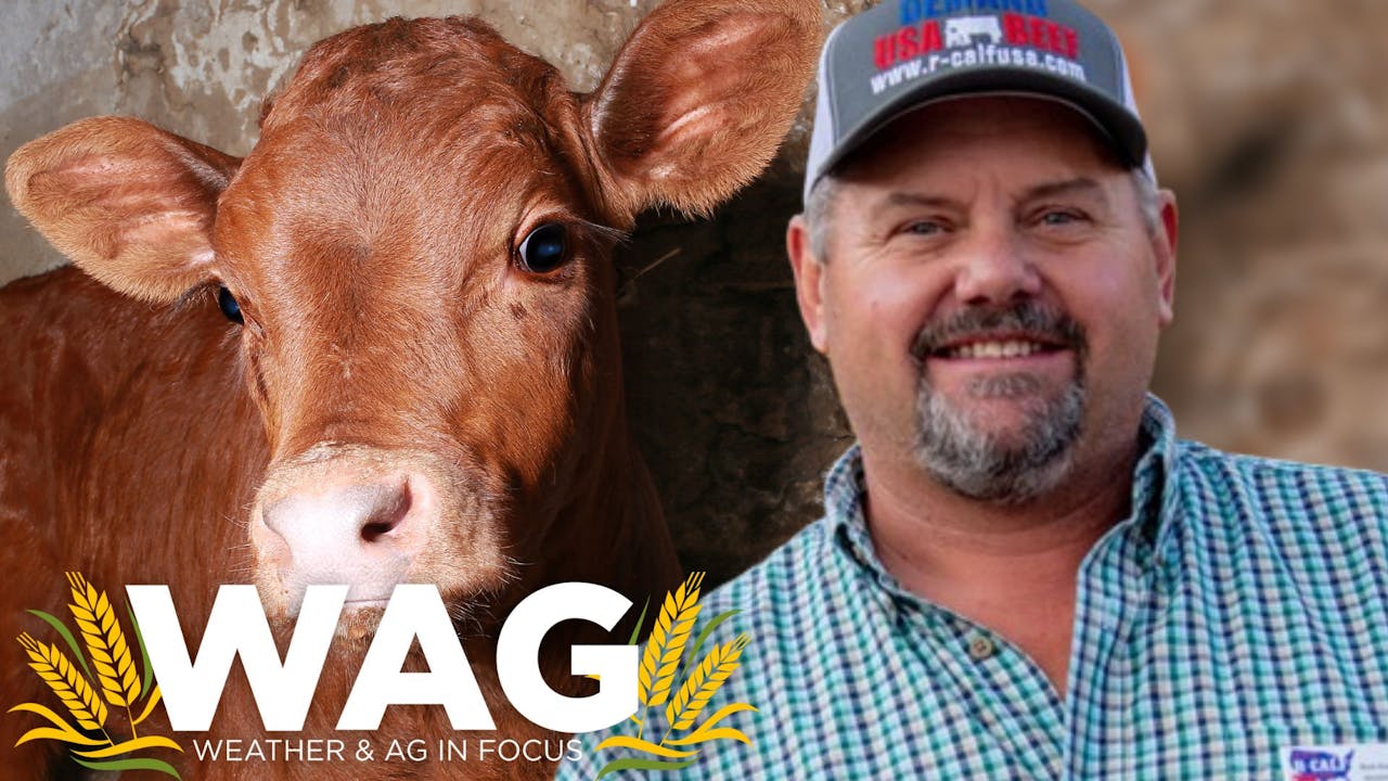 Brett Kenzy: veteran. Cattlemen. National president. 11-17-22 WAG In ...