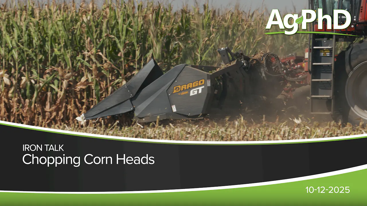 Chopping Corn Heads | Ag PhD - 2025 - AcresTV