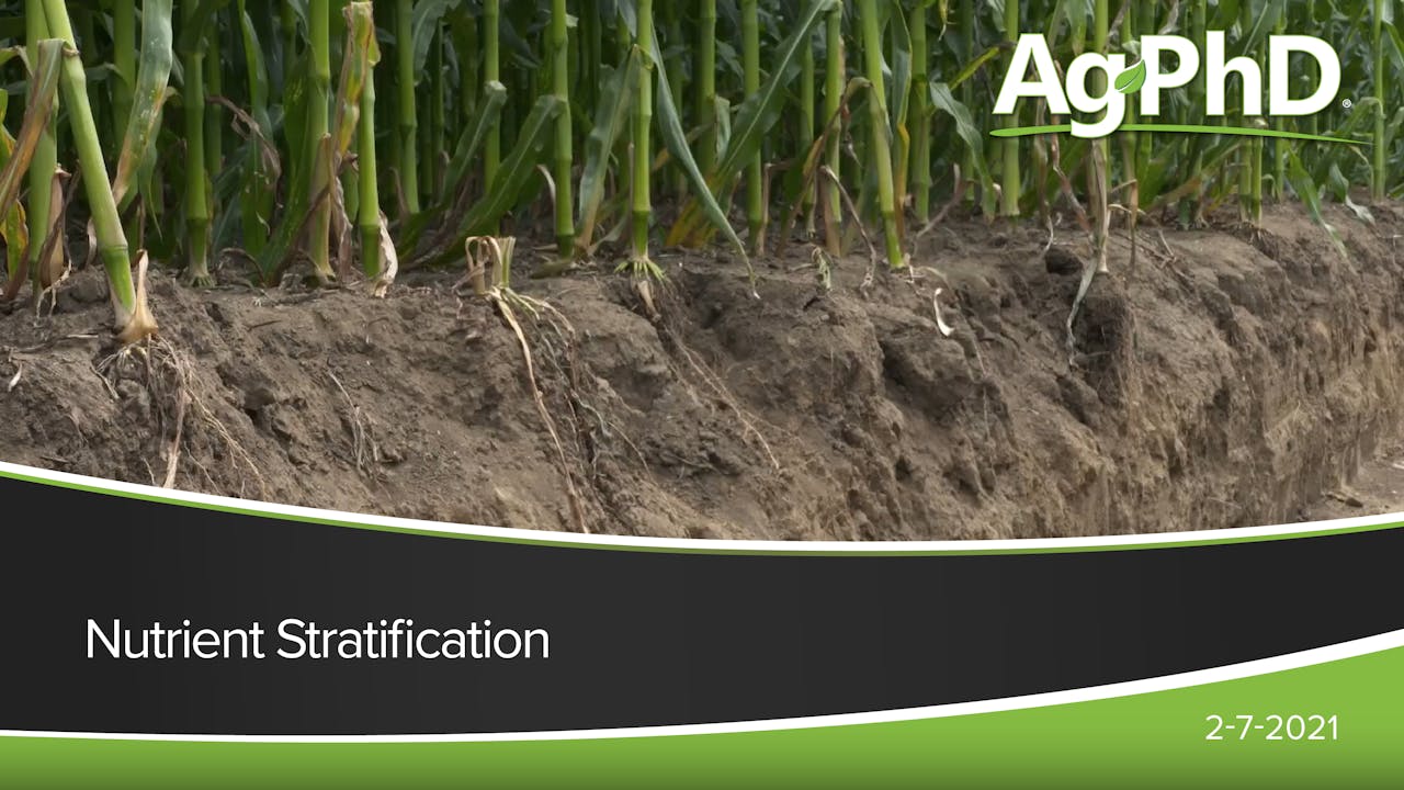 Nutrient Stratification | Ag PhD - 2021 - AcresTV