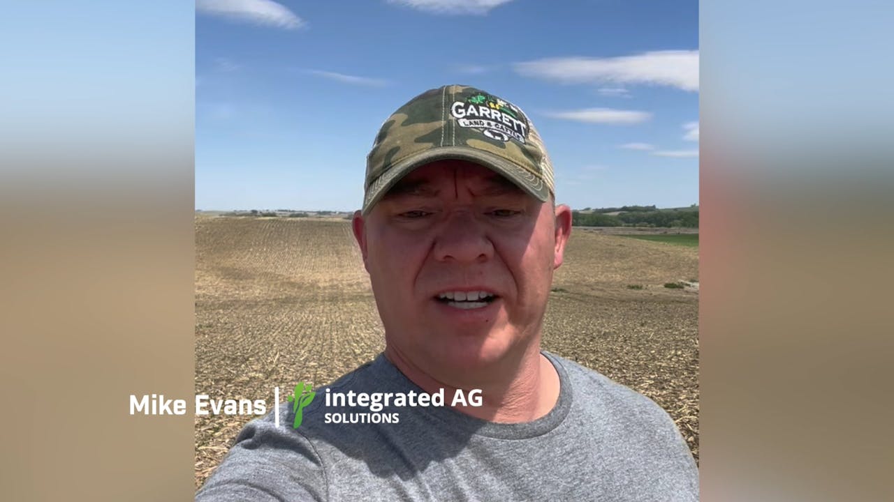 An Application for Improved Soybean Branching | XtremeAg - Agronomy ...