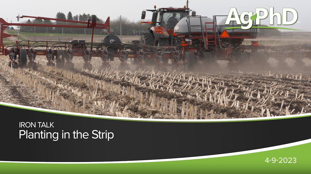 Planting in the Strip | Ag PhD - 2023 - AcresTV