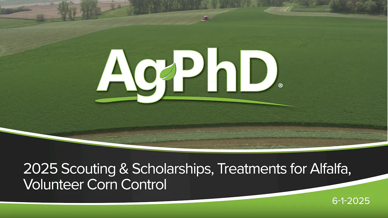 Scouting & Scholarships, Treatments for Alfalfa, Volunteer Corn Control ...