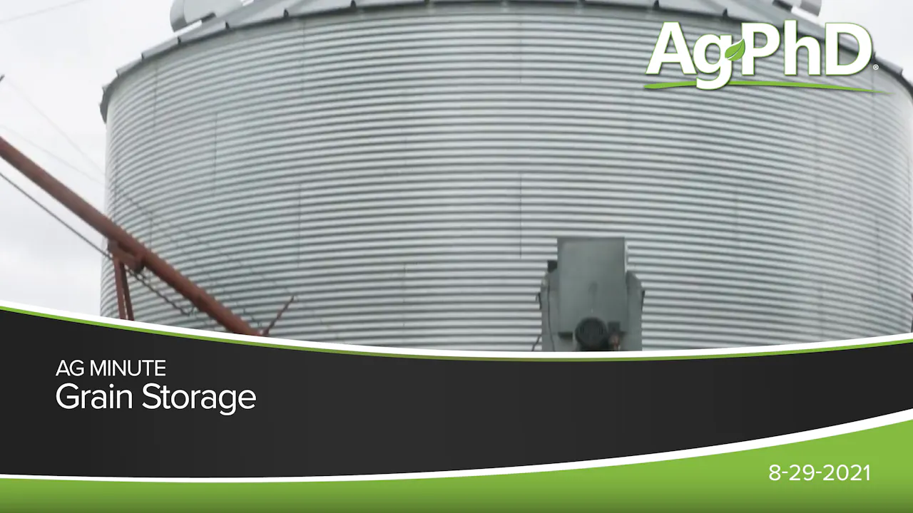 Grain Storage | Ag PhD - 2021 - AcresTV