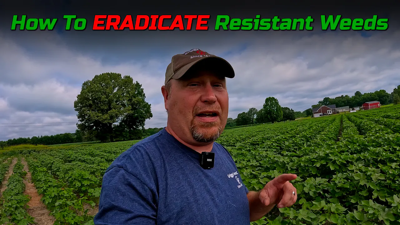 Resistant Weed Eradication Takes Dedication | Griggs Farms - 2025 - AcresTV