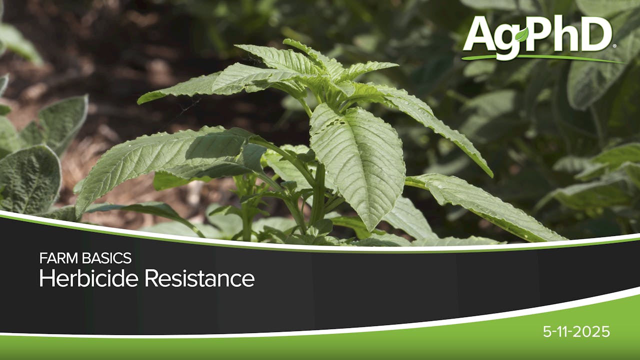 Herbicide Resistance | Ag PhD - 2025 - AcresTV