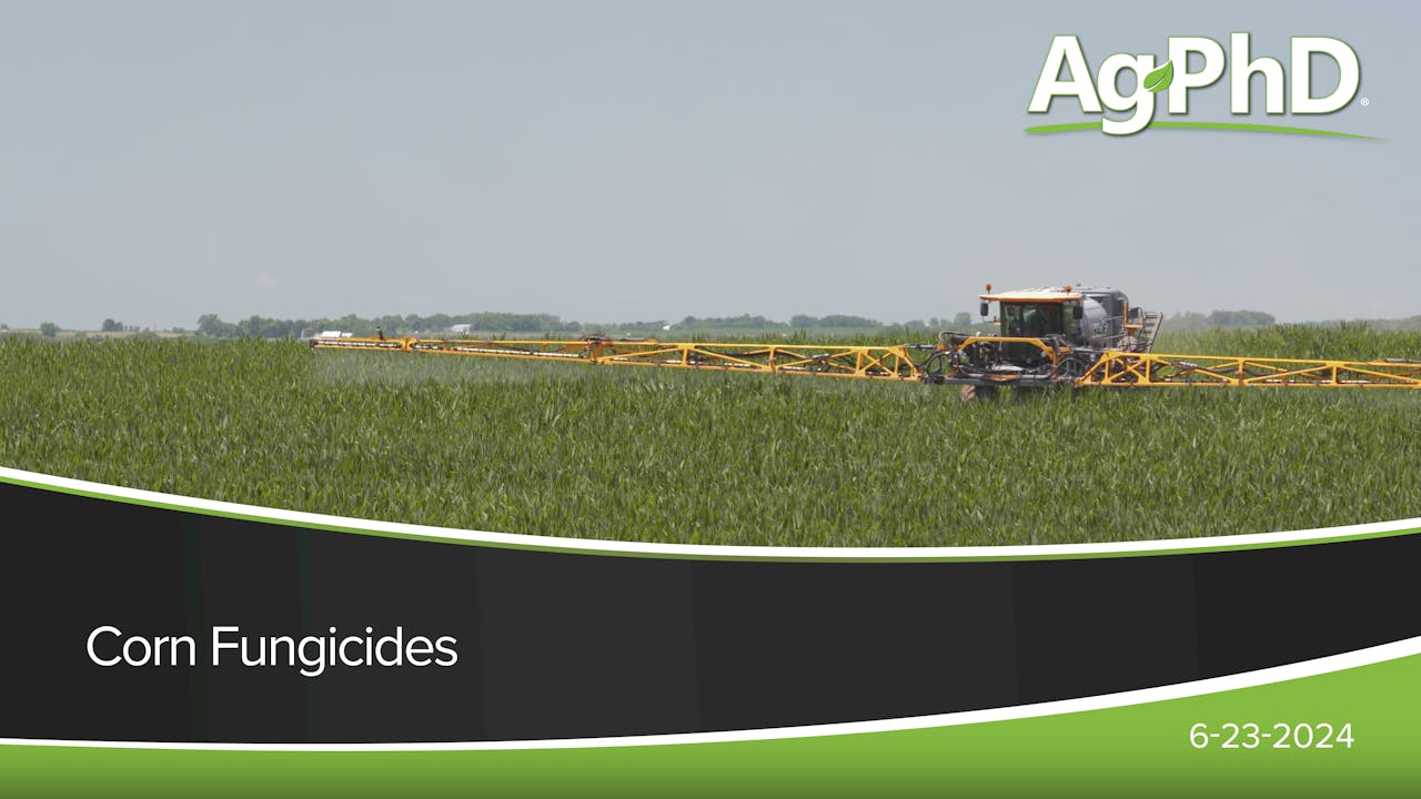 Corn Fungicides | Ag PhD - 2024 - AcresTV
